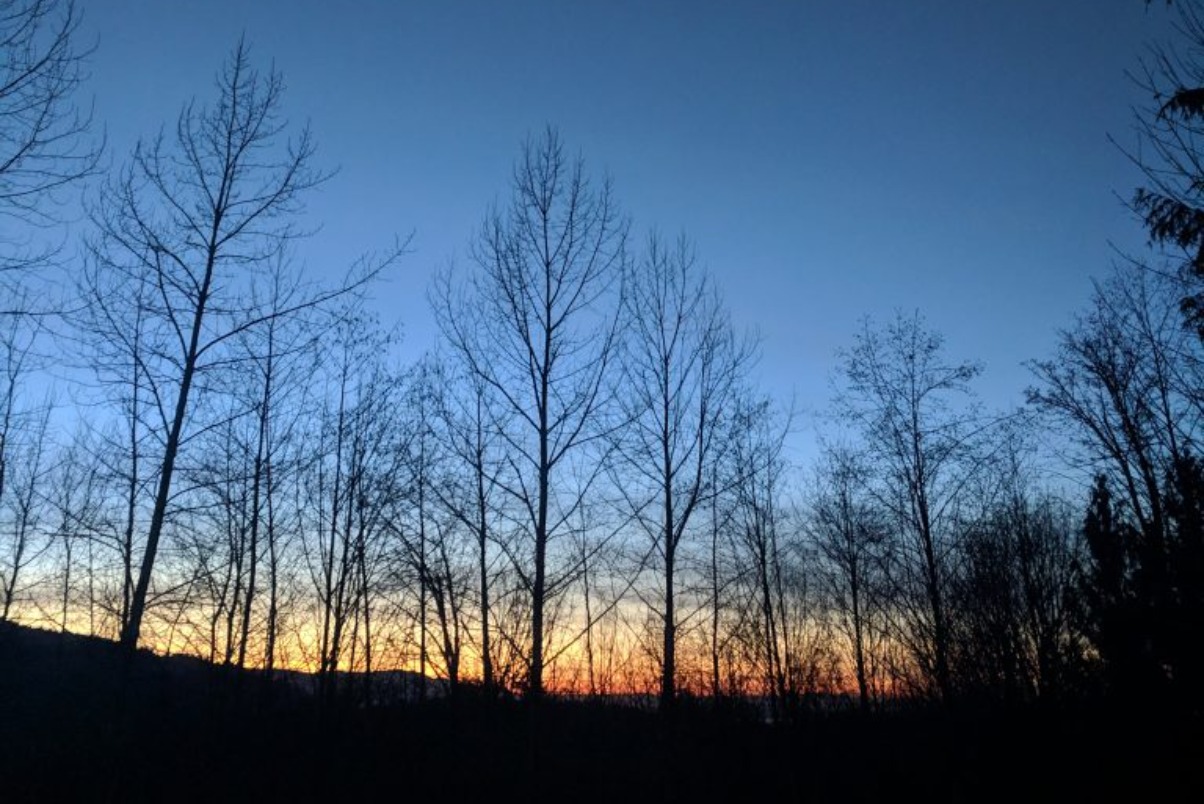 Fall Activities - Plan a trip today—Visit Bellingham | Whatcom County