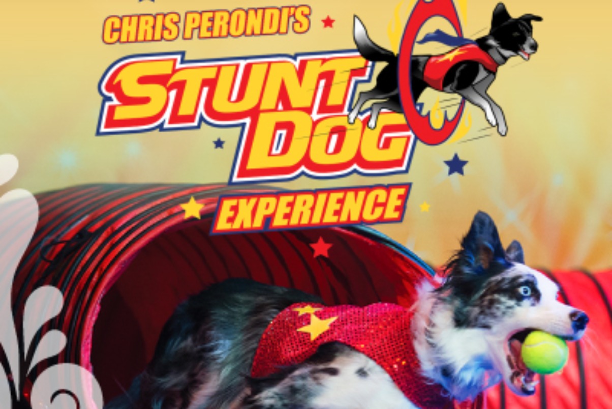 Mount Baker Theatre | bellingham.org