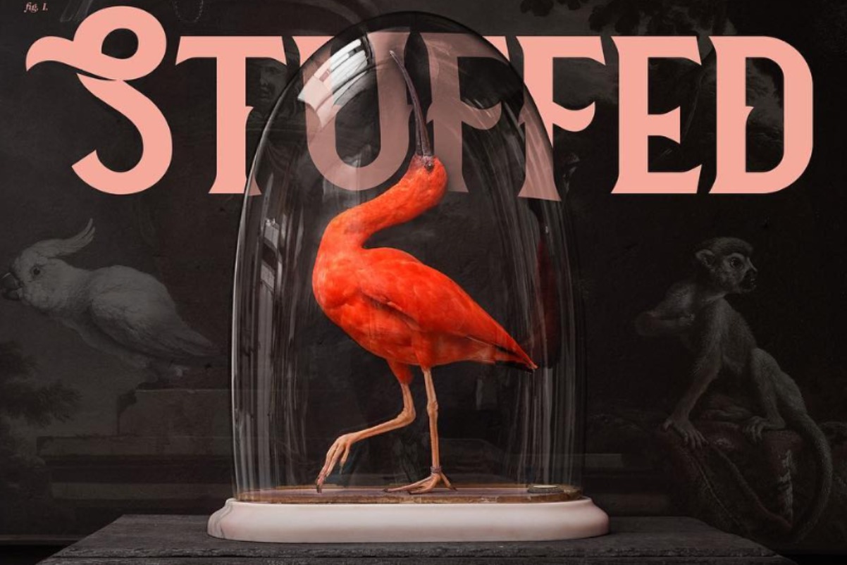 Events Calendar - Plan a trip today—Visit Bellingham | Whatcom County