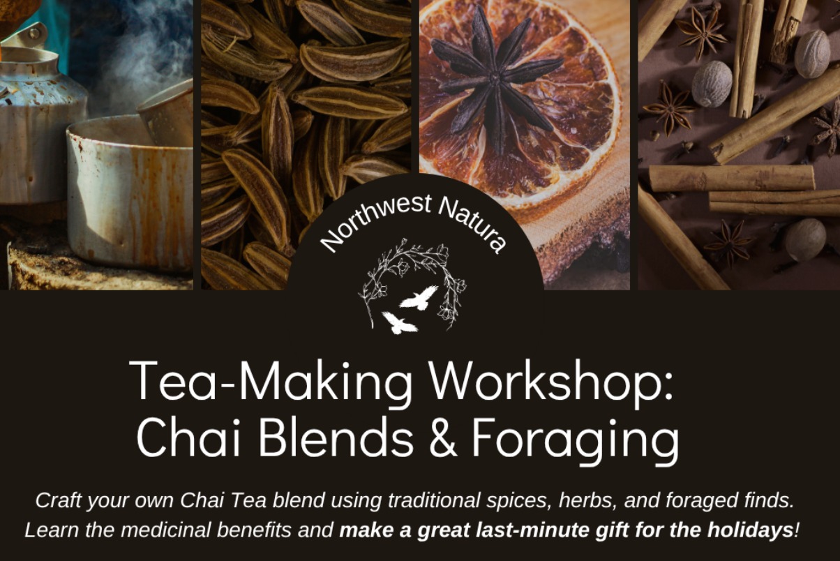 Things to Do this Weekend in Bellingham and Whatcom County