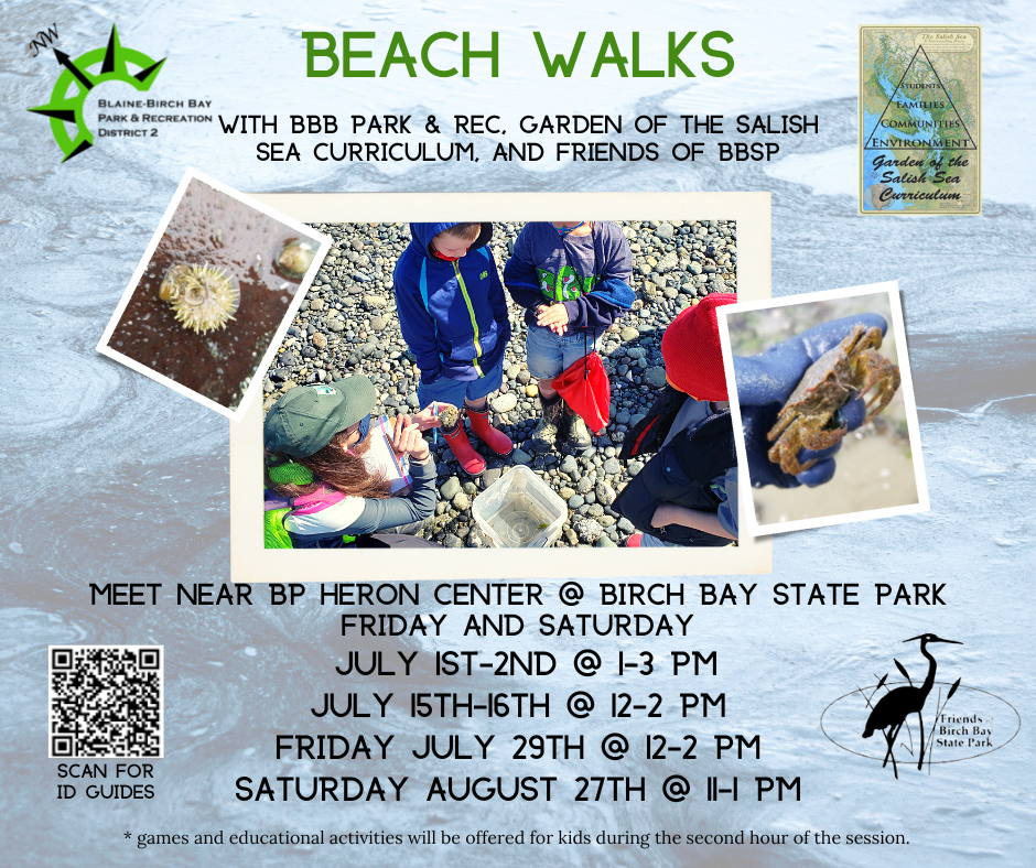 Birch Bay in Whatcom County is a the Perfect Vacation Spot